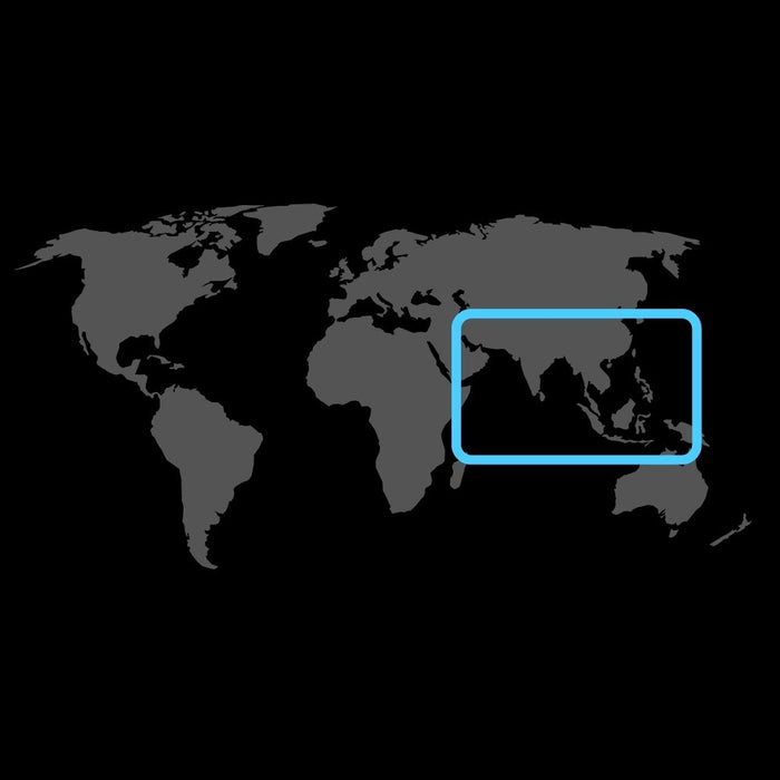 Baby Black Dragon Water Monitor - Varanus salvator for sale